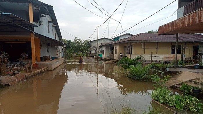 Banjir Landa Desa Sosok dan Berakak Kecamatan Tayan Hulu, BPBD Sanggau ...
