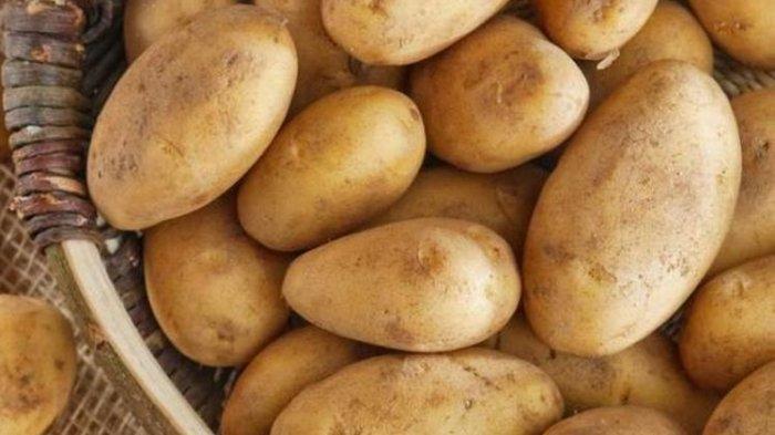 Contoh dan Tips Menyimpang Kentang, Ini Alasan Mengapa Kentang Tak ...