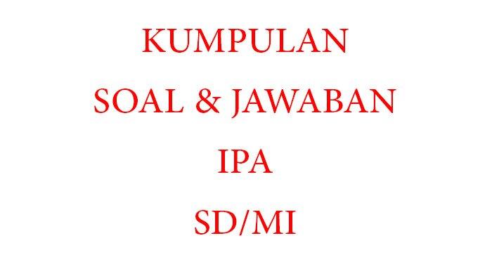 50 SOAL UJIAN Sekolah IPA Kelas 6 SD MI Lengkap Kunci Jawaban Soal IPA USBN/USP Tahun 2025 ...