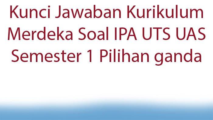 Kunci Jawaban Kurikulum Merdeka Soal IPA UTS UAS Semester 1 Pilihan ganda - Tribunpontianak.co.id