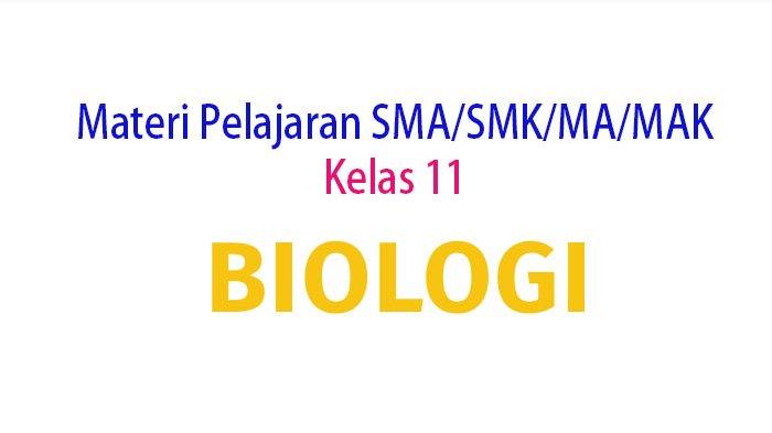 SOAL Sumatif Biologi Kelas 11 Ulangan/Ujian Semester 2 Kurikulum Merdeka Tahun 2024 serta ...