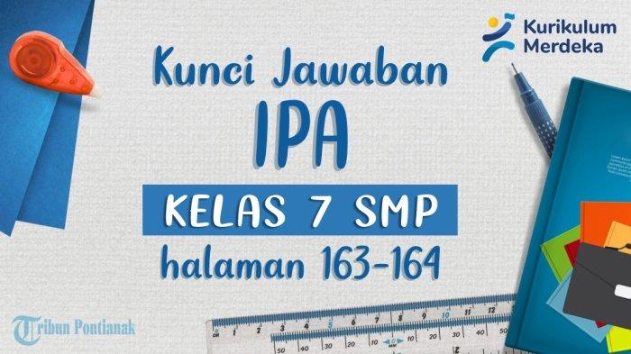 Kunci Jawaban dan Soal IPA Kelas 7 SMP Halaman 163 164 Kurikulum Merdeka Bab 6 - Tribunpontianak ...