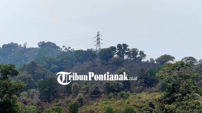 Tower Sutet di Bengkayang Nyaris Terbakar Akibat Karhutla - Tribunpontianak.co.id