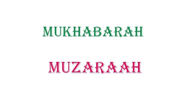 Apa Arti dan Kesamaan Mukhabarah dan Muzaraah dalam Muamalah Islam ...