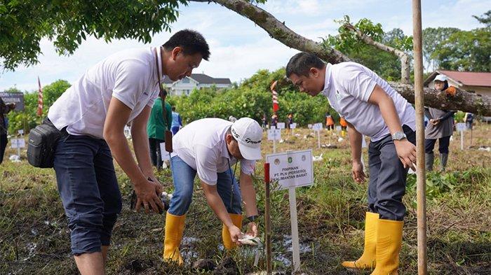 Hari Bakti Rimbawan, PLN Kalbar Berpartisipasi Dalam Penanaman Pohon Serentak Seluruh Indonesia ...