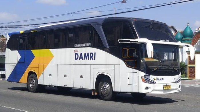 PRAKTIS Beli dan Pesan Tiket Bis Damri, Kini Bisa Lewat Aplikasi atau ...