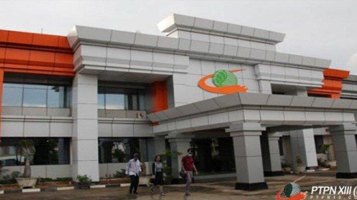 PTPN XIII Bertransformasi Menuju Pulih Lebih Cepat Bangkit Lebih Kuat ...