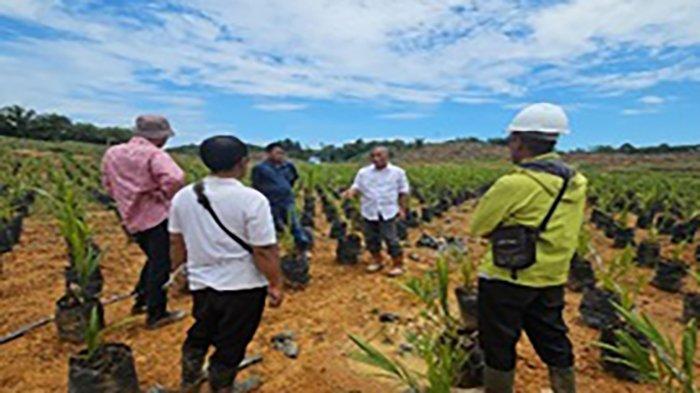 Kenalkan Anak Muda Industri Kelapa Sawit melalui Program PTPN IV ...