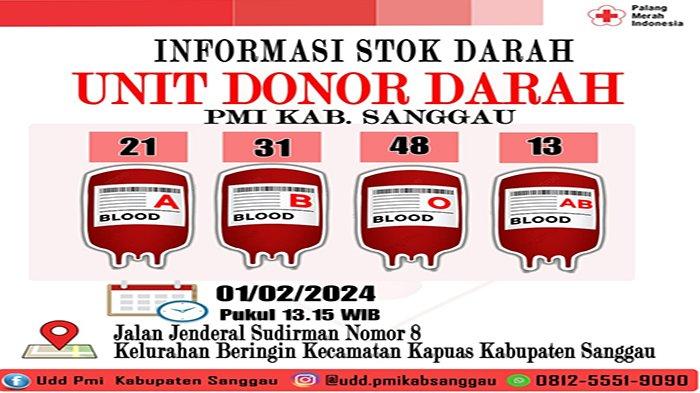 Ini Stok Darah yang Tersedia di UDD PMI Sanggau, Berikut Rinciannya ...