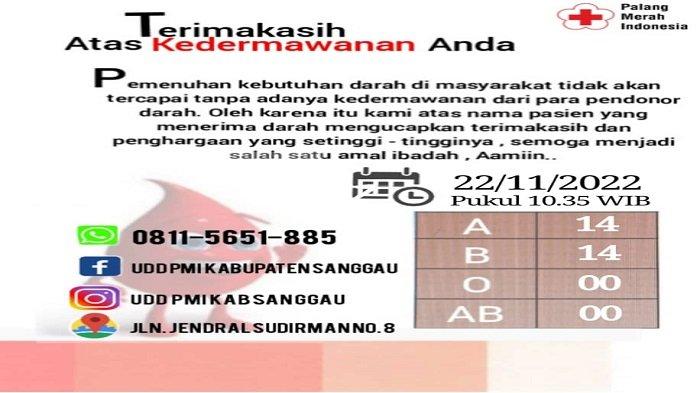 Update Stok Darah di UDD PMI Sanggau 22 November 2022, Golongan O dan ...