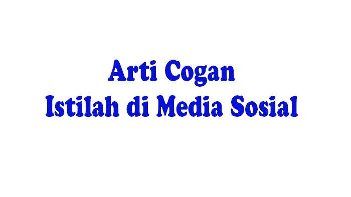 Arti Istilahan Cogan Halu Pap di Media Sosial, Cek Maknanya ...