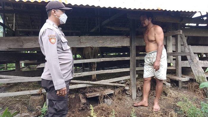 Cegah PMK, Tim Aman Nusa II Polsek Pulau Maya Karimata Sambangi dan ...