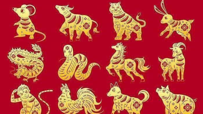 Shio Besok Jumat 5 Mei 2023, Pacu Dirimu Shio Kerbau dan Keluar dari ...