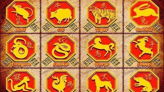 Shio Besok Kamis 15 September 2022, Peluang Baru Menantimu Shio Macan ...