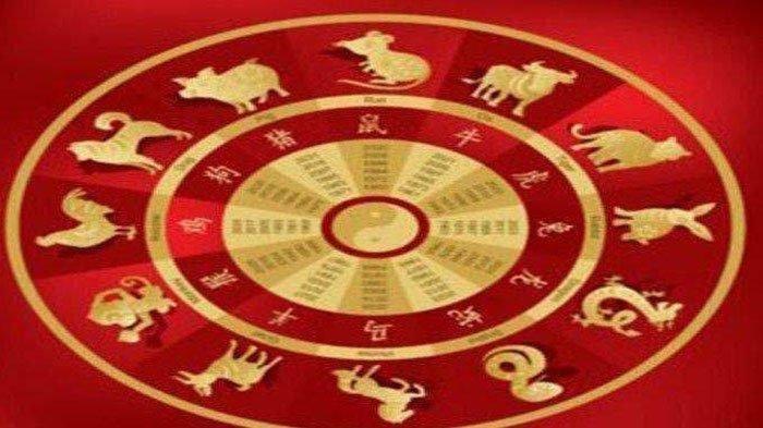 Shio Besok Minggu 4 September 2022, Shio Macan Waspada Pesimisme ...