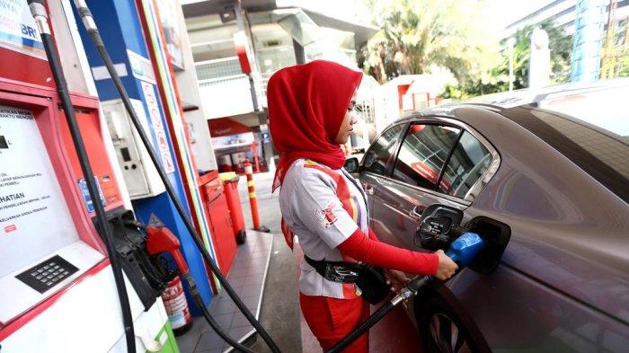 Resmi! Harga BBM Pertalite dan Solar Terbaru Februari 2024 di SPBU Seluruh Indonesia ...