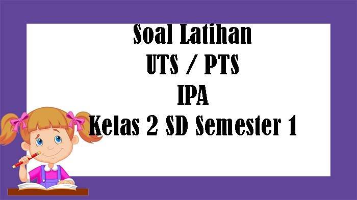 SOAL IPA Kelas 2 SD PTS Semester 1 dan Kunci Jawaban Latihan Soal UTS Pilihan Ganda Essay ...