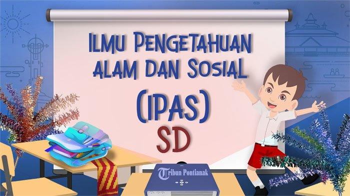 SOAL PTS IPS Kelas 3 SD Semester 1 Tahun 2023, Kunci Jawaban Latihan STS Pilihan Ganda ...