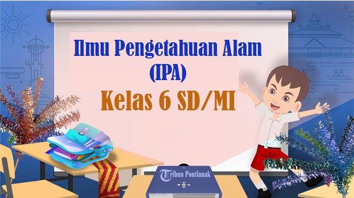 50 Soal IPA Kelas 6 SD Semester 2 Kurikulum Merdeka 2025, Kunci Jawaban ...