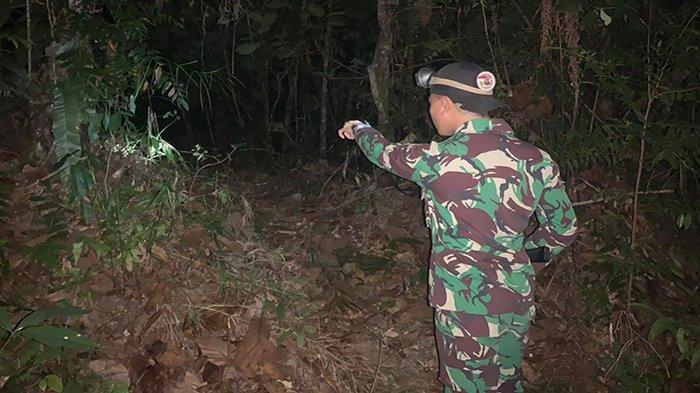 Satgas Pamtas Yonkav 12/BC Gagalkan Penyelundupan Satwa Kukang di Perbatasan Jagoi Babang ...