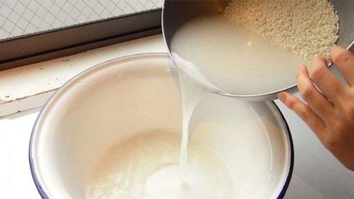 Segudang Manfaat Air Rendaman Beras untuk Kesehatan, Dari Petuah hingga ...