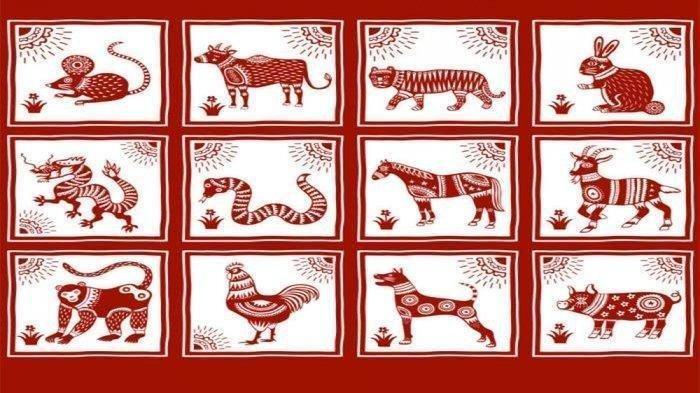 Shio Besok Selasa 11 April 2023, Shio Ayam Butuh Sedikit Rayuan dan ...