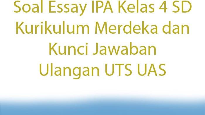 Soal Essay IPA Kelas 4 SD Kurikulum Merdeka dan Kunci Jawaban Ulangan UTS UAS - Tribunpontianak ...