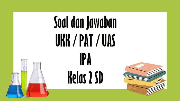 Soal UKK IPA Kelas 2 SD Semester 2, Kunci Jawaban Latihan UAS dan PAT Pilihan Ganda Essay 2023 ...