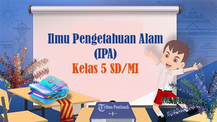 40 SOAL IPA Kelas 5 SD Semester 2 Kurikulum Merdeka, Kunci Jawaban PAS UAS PAT 2025 - Halaman ...