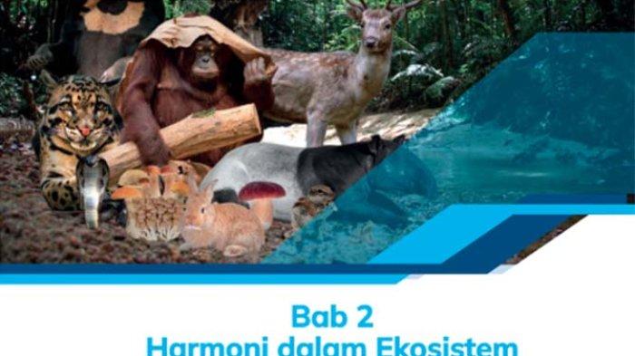 Soal IPAS Kelas 5 SD Kurikulum Merdeka, Jawaban Halaman 76 Apa yang Terjadi pada Ekosistem Ini ...