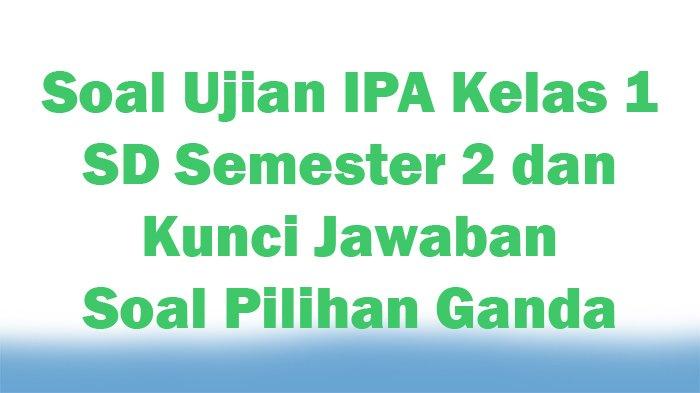 Soal Ujian IPA Kelas 1 SD Semester 2 dan Kunci Jawaban Soal Pilihan Ganda - Tribunpontianak.co.id