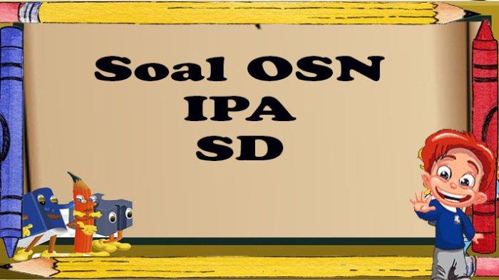 Latihan Soal OSN IPA SD/MI Lengkap Kunci Jawaban Olimpiade Dalam Bentuk ...