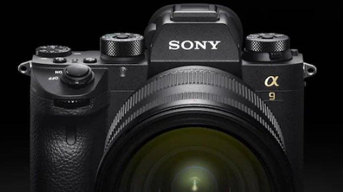 Pengambilan Gambar Bebas Blackout Sony Alpha 9 - Halaman all ...