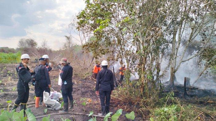 Karhutla Terjadi di Parit Sembin Kubu Raya, Petugas Padamkan dengan ...