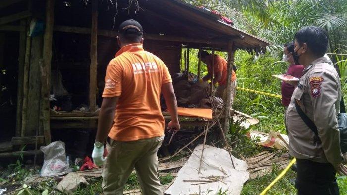 Geger Penemuan Mayat di Pondok Sawit Warga Desa Temiang Taba Batang Tarang Sanggau ...