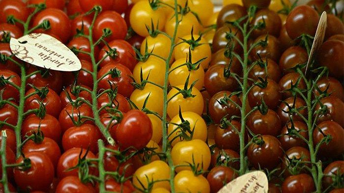 Jenis Makanan yang Baik untuk Menjaga Kesehatan Rahim, Tidak Hanya Buah ...