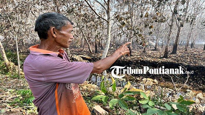 Hotspot Kembali Terpantau, BPBD Sambas Sebut di 3 Kecamatan Tangaran ...