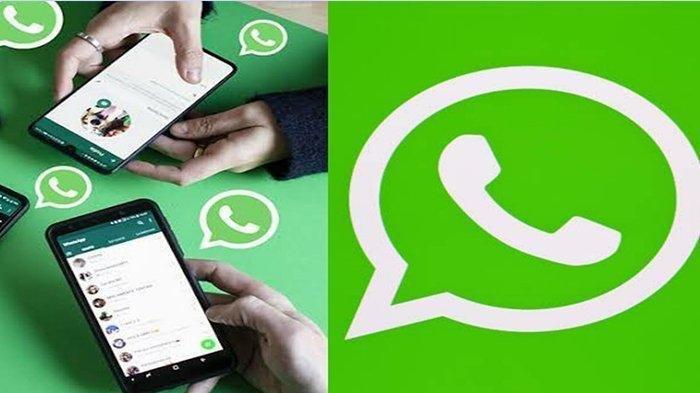 Aplikasi WhatsApp Diblokir di Handphone Android? Berikut Penjelasan dan ...