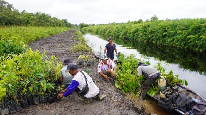 Yayasan Palung dan F&F Nature Together Restorasi di Kawasan Hutan Desa ...
