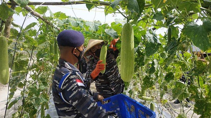 Kunker Danlantamal XII Pontianak, Bupati Ketapang Minta Dukungan ...
