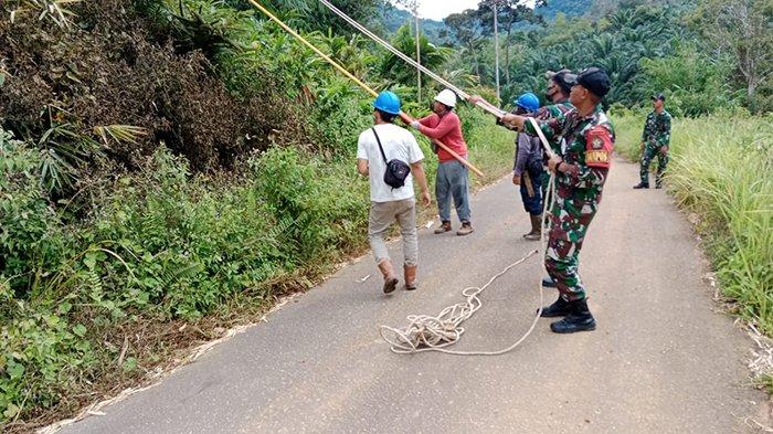 Satgas Pamtas Yonif Mekanis 643/Wns Bersama Warga dan PLN Gotong Rotong Bersihkan Jalur Listrik ...