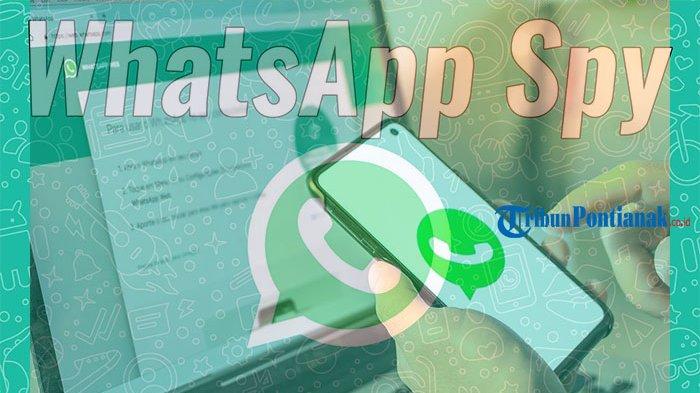 Aplikasi Sadap WA Paling Mudah, Banyak Pilihan Sesuai Keinginan ...