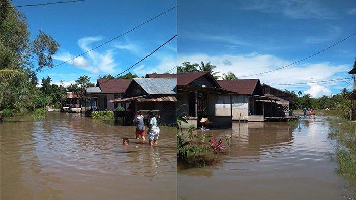 BREAKING NEWS - Banjir Terjang Desa Bukit Segoler Sambas Kalbar, Permukiman Warga Tergenang ...