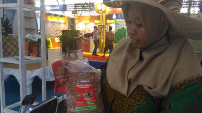Beras Organik Milik Konsorsium Perempuan Laris Manis di Ajang Pameran ...