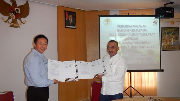 BKSDA-WWF Indonesia Kerja Sama Kelola Kawasan Konservasi ...