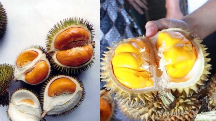 BUAH Lai Buah Mirip Durian Rasa Buah Lai Tak Semanis Durian, Ini Manfaat Buah Lai ...