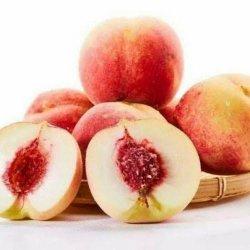 Manfaat Buah Peach yang Baik untuk Kecantikan dan Pencernaan ...