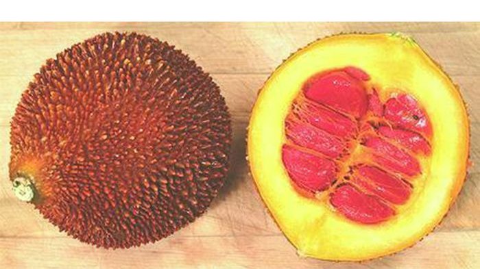 Kenal Buah Ini? Ternyata Khasiatnya Luar Biasa - Tribunpontianak.co.id