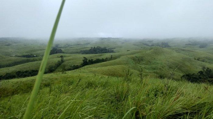 TRIBUN WIKI: Komunitas Djelajah Borneo Kunjungi Bukit Seligi di Melawi ...