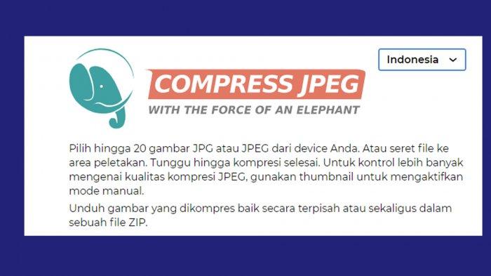 Cara Kompres Foto ke 200kb untuk Daftar CPNS 2021 dan PPPK di sscasn ...